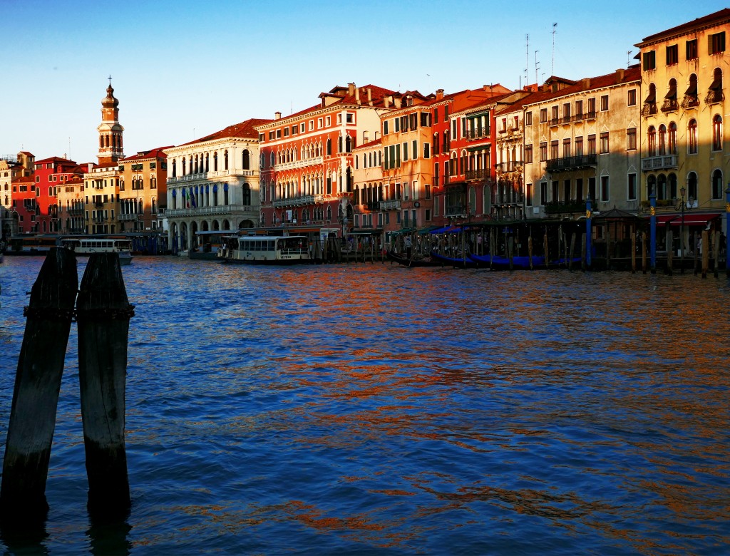 Wood pilesin Venice - BoomerVoice